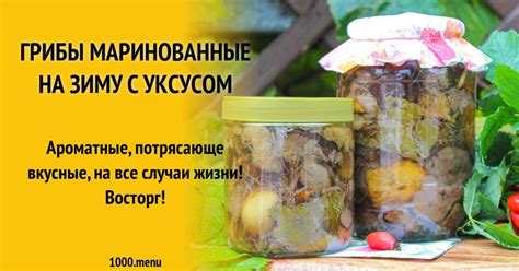 Грибы маринованные на зиму с уксусом рецепт с фото пошагово Recipe