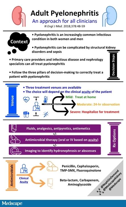 Acute Pyelonephritis A Three Pillar Approach For Clinicians
