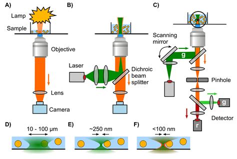 Published Single Molecule Localization Microscopy As An Emerging Tool