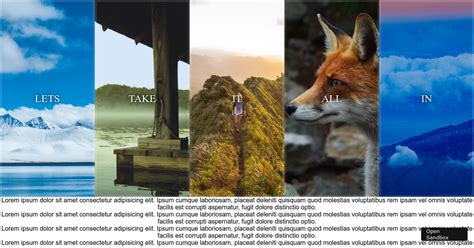 React Fullpage Accordion Codesandbox