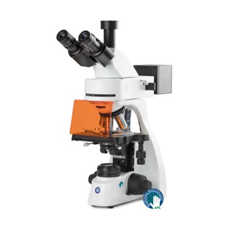 Microscopio De Fluorescencia N Internacional Bol Ltda