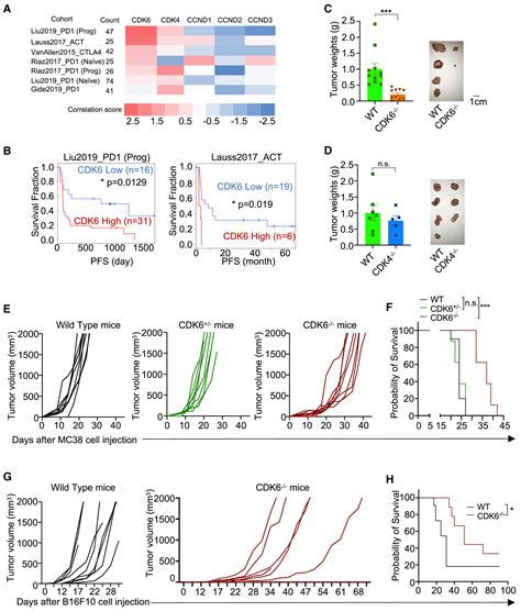 Targeting Protein Tyrosine Phosphatases For Cdk6 Induced Immunotherapy Resistance Cell Reports