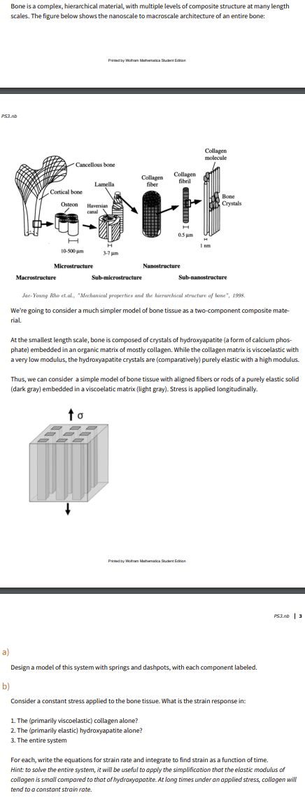 Solved Bone Is A Complex Hierarchical Material With