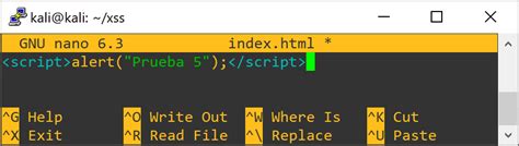 Explotar Vulnerabilidad Xss Cross Site Scripting En Web De Ejemplo Hacking Ético Parte 4