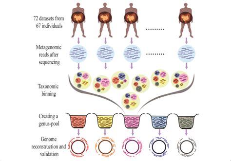 Outline Of The Binning Assembly Approach Used In This Study