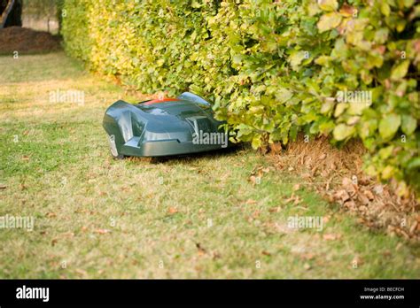 Automatic Robot Lawn Mower Cutting Grass Stock Photo Alamy