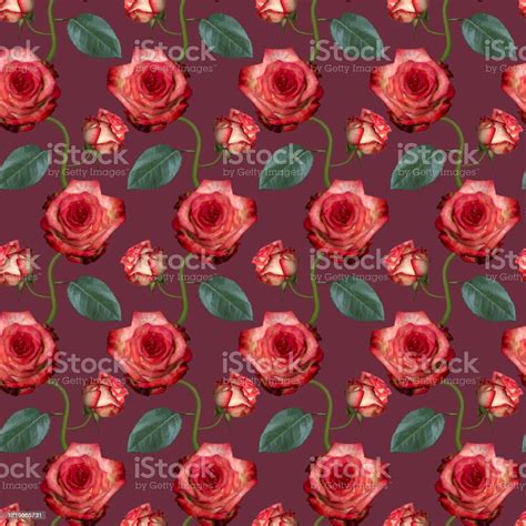 빨간색 배경에 분홍색 장미 꽃과 녹색 잎이있는 원활한 패턴 끝없는 화려한 꽃 질감 래스터 일러스트 0명에 대한 스톡 사진 및 기타 이미지 Istock