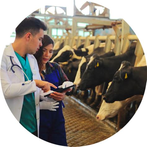 Bovine Tuberculosis Testing Microdetect