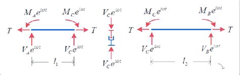 Boundary Conditions Of Cable Segment Forces Download Scientific Diagram