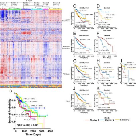 Sequential Hierarchical Clusteringt Sne Profiling Of Hcc A Download Scientific Diagram