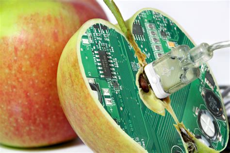 Engineering Food Of The Future Requires Global Coordination To Ensure