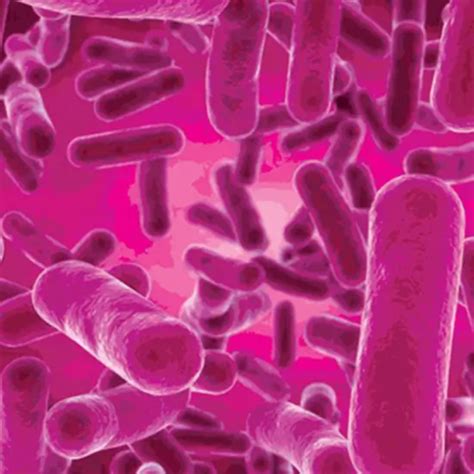 Enterohemorrhagic Escherichia Coli Test Price In Delhi India