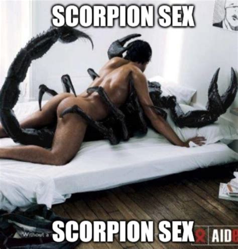 Scorpion Sex R Ironicmemes