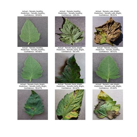 Image Showing Overall Architecture Of Smart Agriculture Download Scientific Diagram