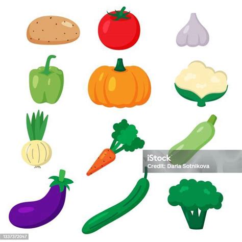 벡터 야채 세트 만화 플랫 스타일 콜리플라워 당근 가지 양파 브로콜리 호박 토마토 감자 파프리카 조리법 레스토랑 슈퍼마켓 시장