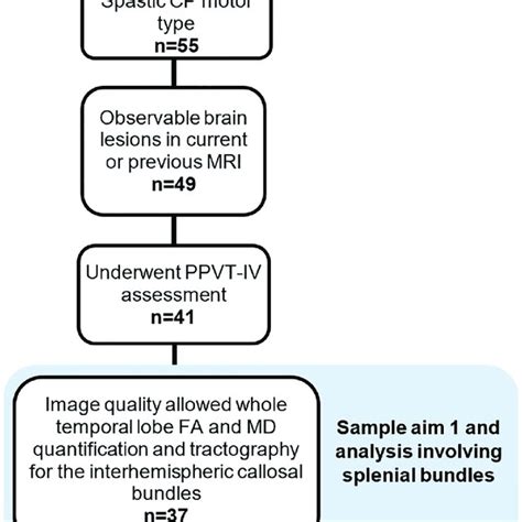 Flowchart Presenting The Selection Of Participants For Each Aim Of The