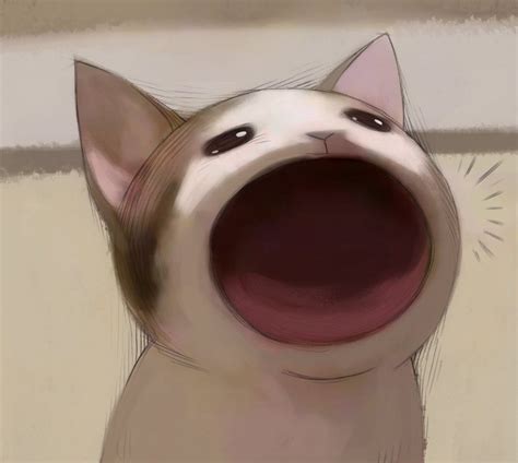 Create Meme Meme Cat With Open Mouth A Cat With An Open Mouth Meme