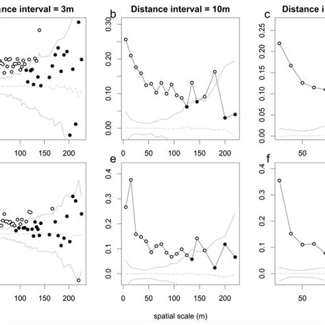 The Density And Aggregation Correlation Functions Representing The
