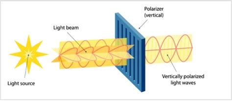 Electromagnetic Radiation Unpolarized Light Spherical Wavelets And