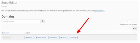 Panduan Mengatur DNS Record Pada Hosting Cpanel AnymHost