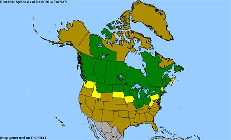 2013 Bonap North American Plant Atlas Taxonmaps