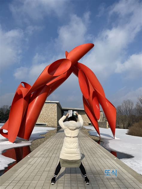 원주 오크밸리 근처 가볼만한곳 뮤지엄산 제임스터렐 전시 네이버 블로그