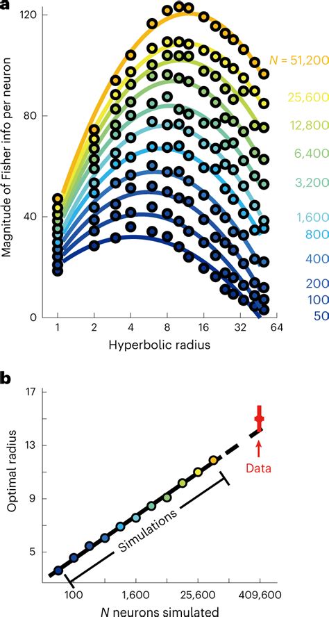 Theoretically Optimal Representation Radius Is Consistent With The Download Scientific Diagram
