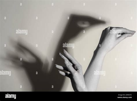 Shadow Puppet Woman Making Hand Gesture Like Swan On Light Background