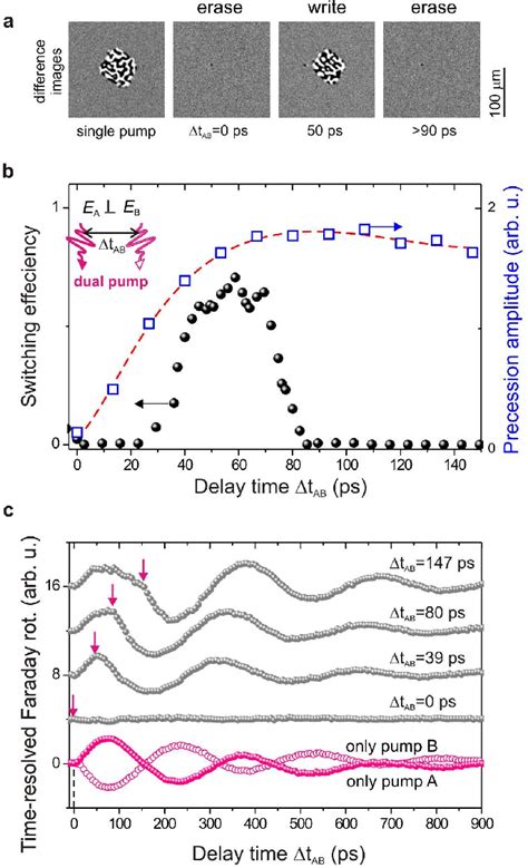 Figure 3 From Coherent Control Of Photomagnetic Back Switching By Double Pump Laser Pulses