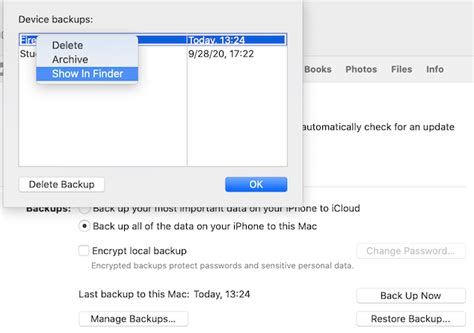 How To View And Browse Iphone Backup In Macos Big Sur