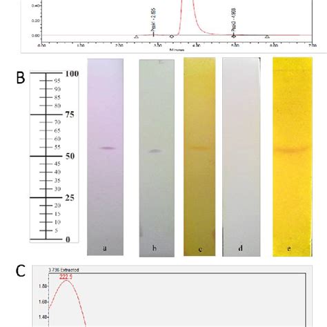 Tlc Profiles Of Ethyl Acetate Extract Of Fermentation Broth Of A