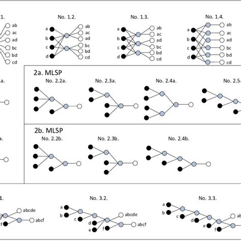 The Assembly Process Networks Classification Download Scientific Diagram
