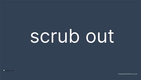 SCRUB OUT | Phrasal Verb SCRUB OUT Definition, Meaning and Example