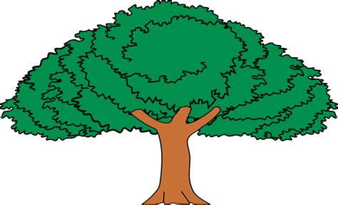 Arbol De Guanacaste Mueble Heraldico SVG Tropical Flowers