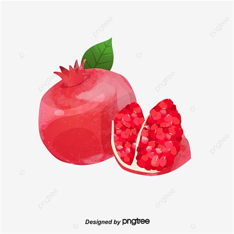 자유형 빨간 석류 석류 클립 아트 석류 손으로 그린 과일 Png 일러스트 및 Psd 이미지 무료 다운로드 Pngtree