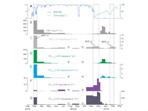 time series variations of particle fluxes sic and chl a mg l −1