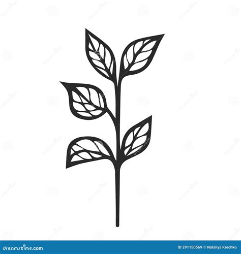 Doodle Style Vector Illustration Simple Element Of Twig And Leaves