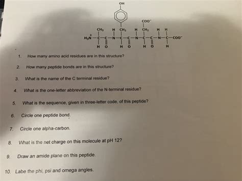 Solved Coo Ch Ch H Ch Hh Hen C Nc Cnc Cnc Coo H Oh Oh Oh Chegg Com