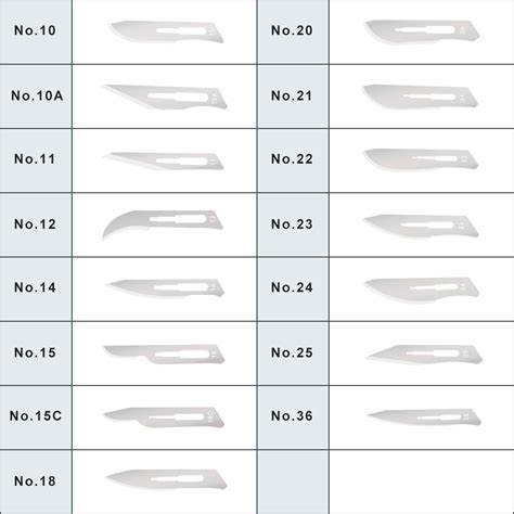 Scalpel Handle Size Chart Stainless Steel 5inch Bp Scalpel H