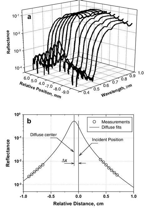 A The 13 Spatial Resolved Diffuse Reflectance Spectra Measured On