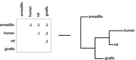 Phylogenetics Methods