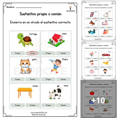 Ejercicios De Sustantivos El Profe Material Educativo Facebook
