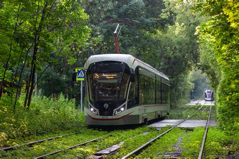 71-731М «Витязь-М» №31076; 71-731М «Витязь-М» №31053 — Фото ...