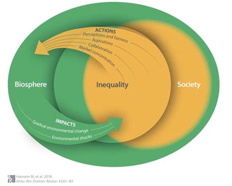 Si Environment Hub On Linkedin Connecting The Dots Between Social Inequalities And Environmental…