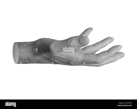 Hand Gesture For Holding Or Presenting An Invisible Object Or Product Outstretched Isolated On