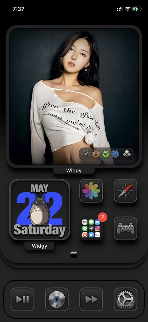 My New Widget R Widgy