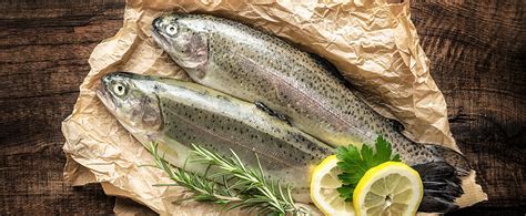 Saibling Unsere Bayerischen Bauern