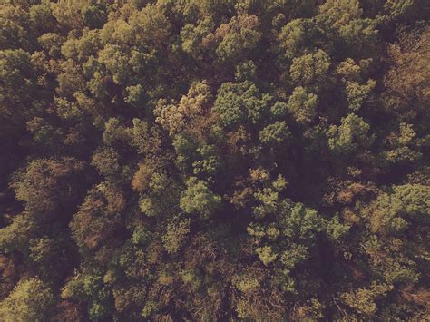 Jquery Mosaic Plugin