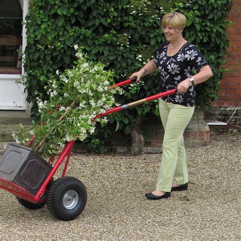 Sch Ntt Nursery Tree Transporter Free Delivery Buy Now