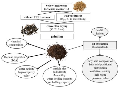 Quality Assessment Of Yellow Mealworm Tenebrio Molitor L Powders Processed By Pulsed Electric